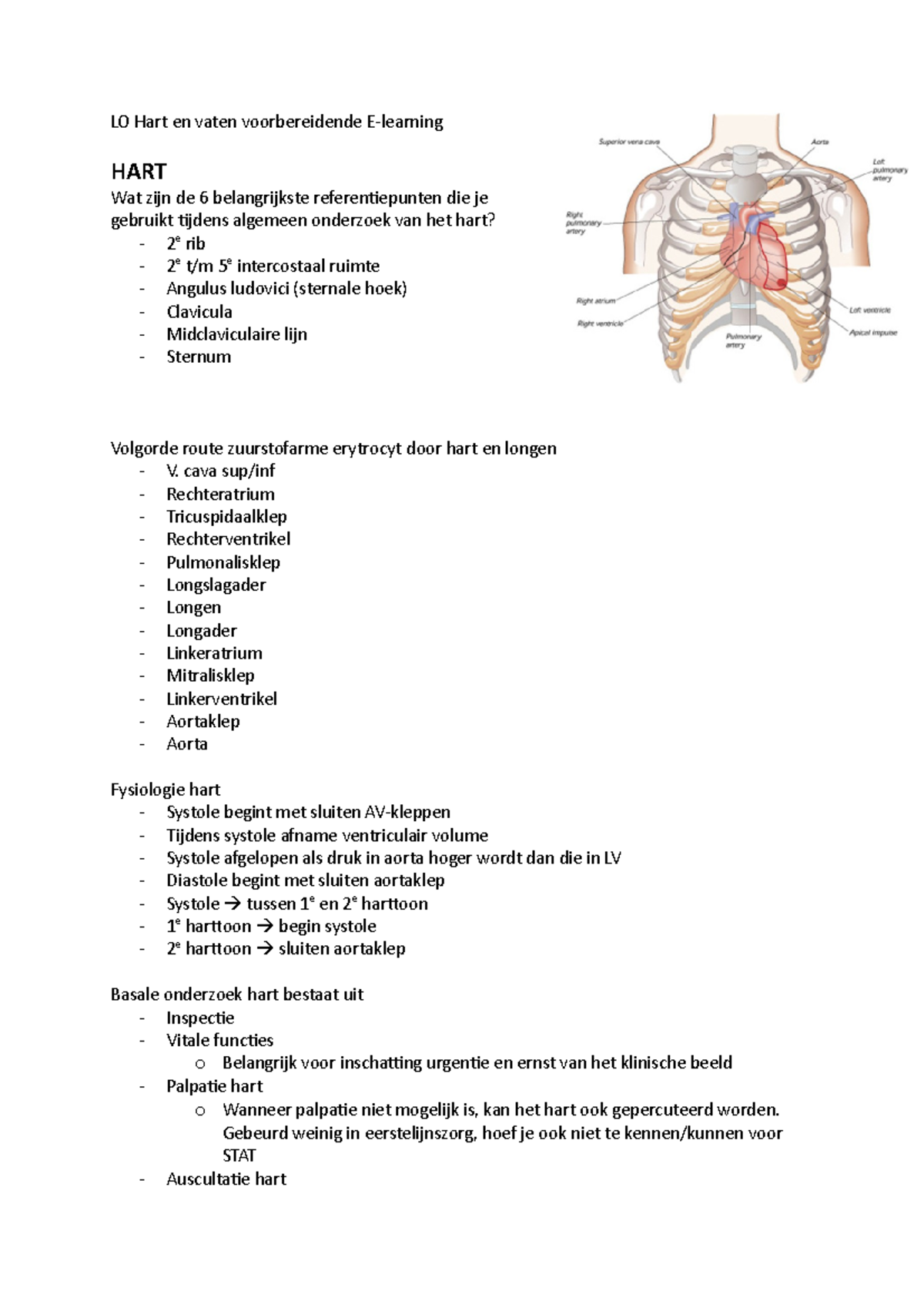 MCV-LO Hart en vaten - Groei en ontwikkeling - VU - Studeersnel