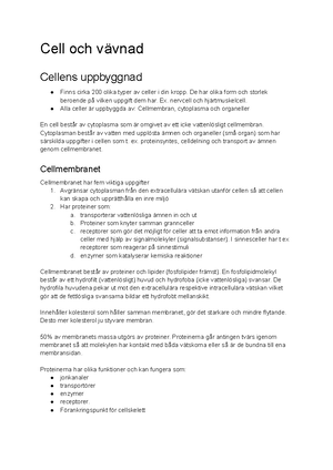 Muskler - Muskler Finns tre olika muskelvävnader skelettmuskulatur ...
