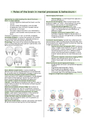 Unit 4 AOS 1 Psychology Notes - Unit 4 - Psychology AOS 1 Chapter 6 ...