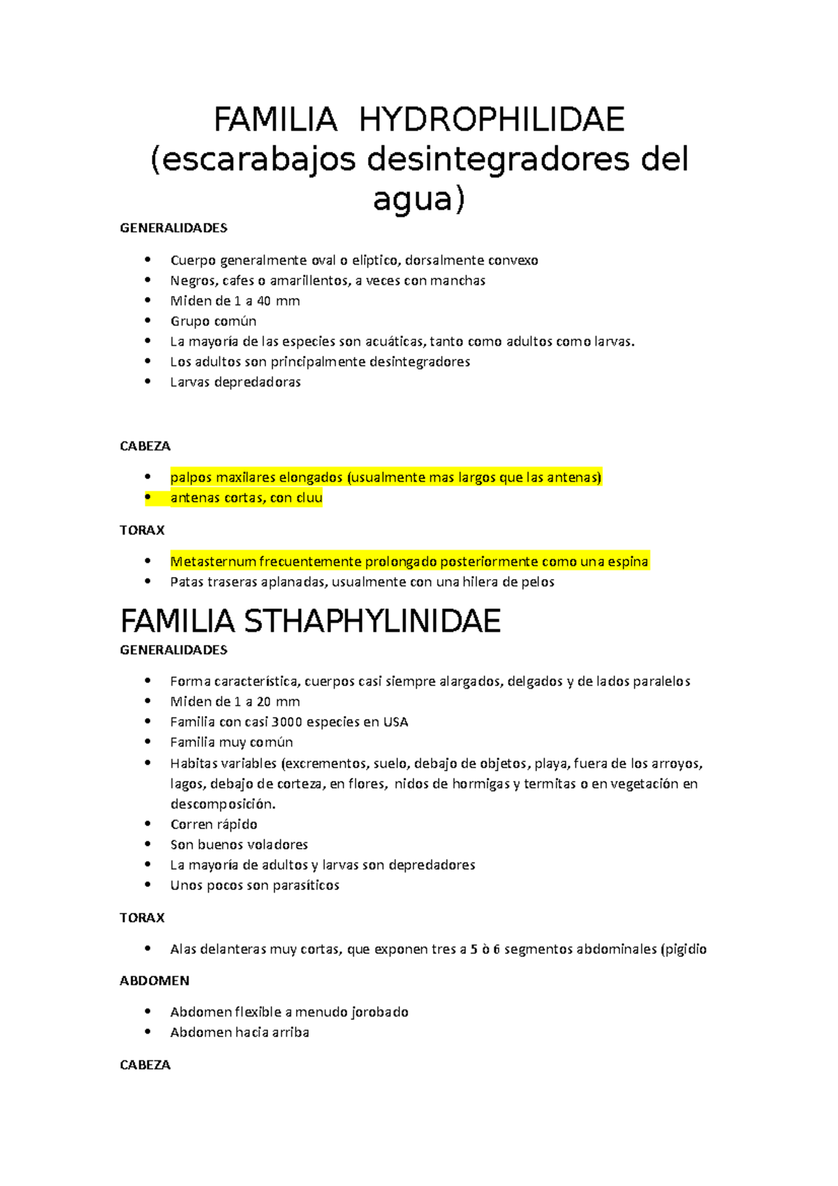 Familia Hydrophilidae insector 21 de marzo - FAMILIA HYDROPHILIDAE ...