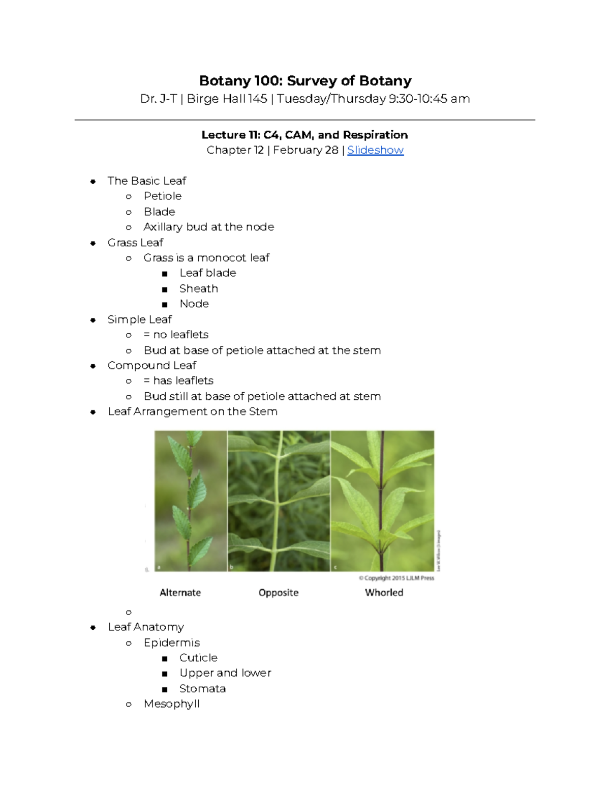 Botany 100 LEC Notes Week 6 - Botany 100: Survey of Botany Dr. J-T ...