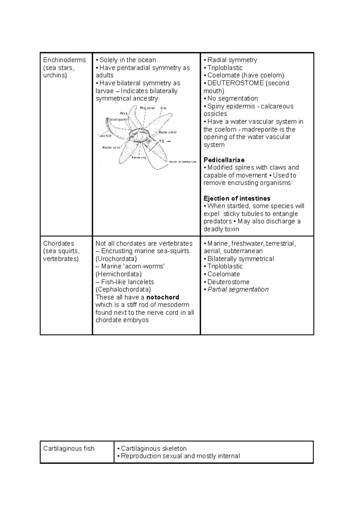 Week 7 Lecture 2 - Echinoderms and Chordates - Enchinoderms (sea stars ...