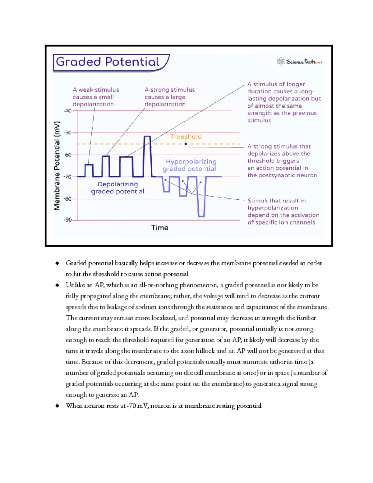 Research on Graded Potential Action Potential Synapses - Graded ...