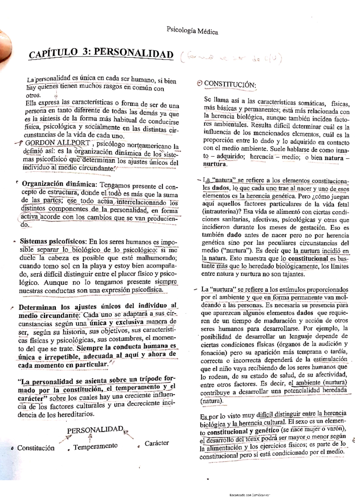 Personalidad - Ella expresa las características o forma de ser de una ...