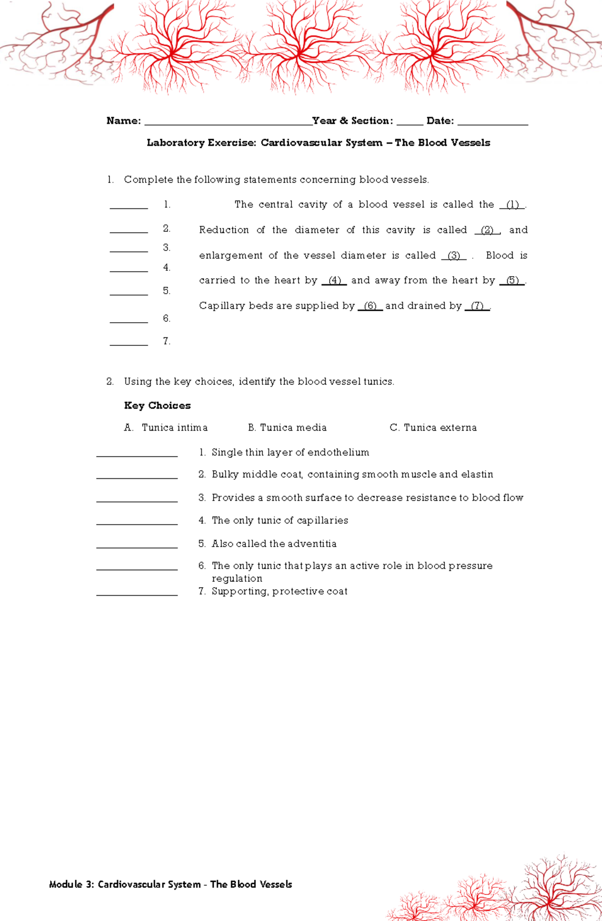 NUMC 101 Module 3 Cardiovascular System Blood Vessels Lab Exercise ...