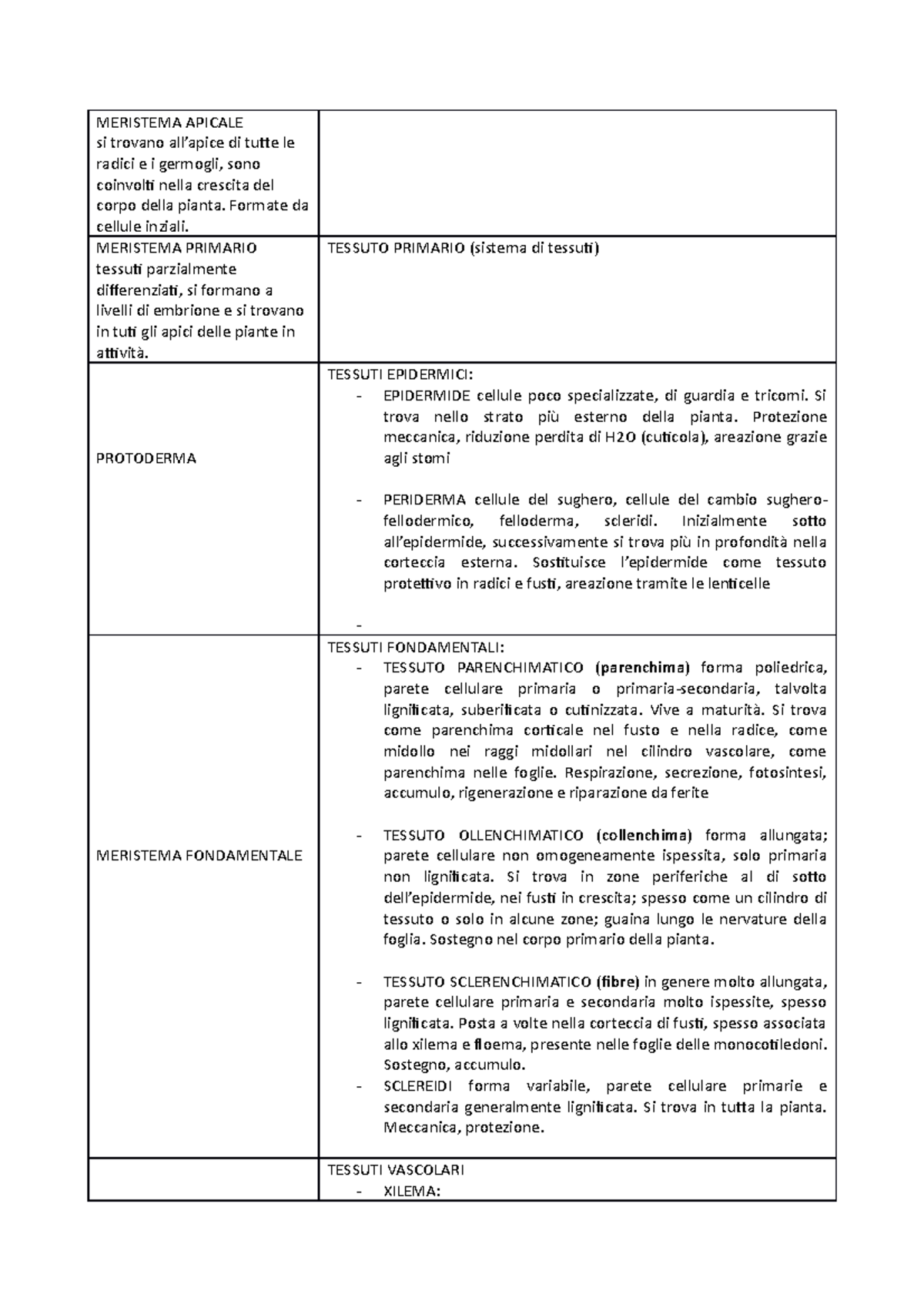 Schema botanica - MERISTEMA APICALE si trovano all’apice di tute le ...