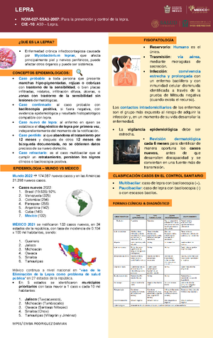 Manual Scitel AGEB20 - SISTEMA DE CONSULTA DE INTEGRACIÓN TERRITORIAL ...