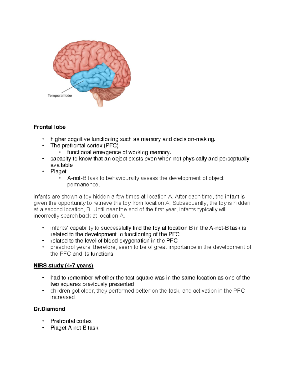 Part 2 Lobes of the Brain Lec Notes - Frontal lobe higher cognitive ...
