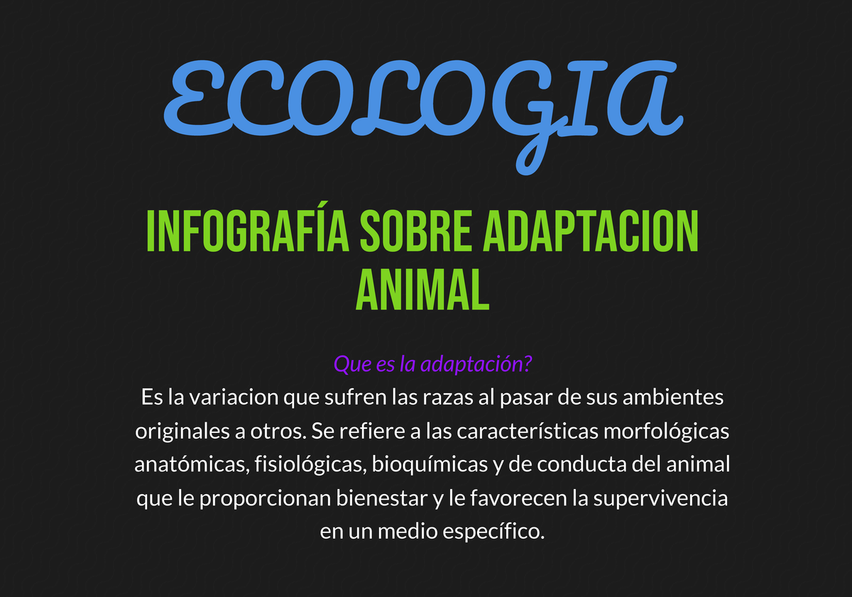 Infografia adaptacion Animal - Infografía sobre adaptacion animal ...