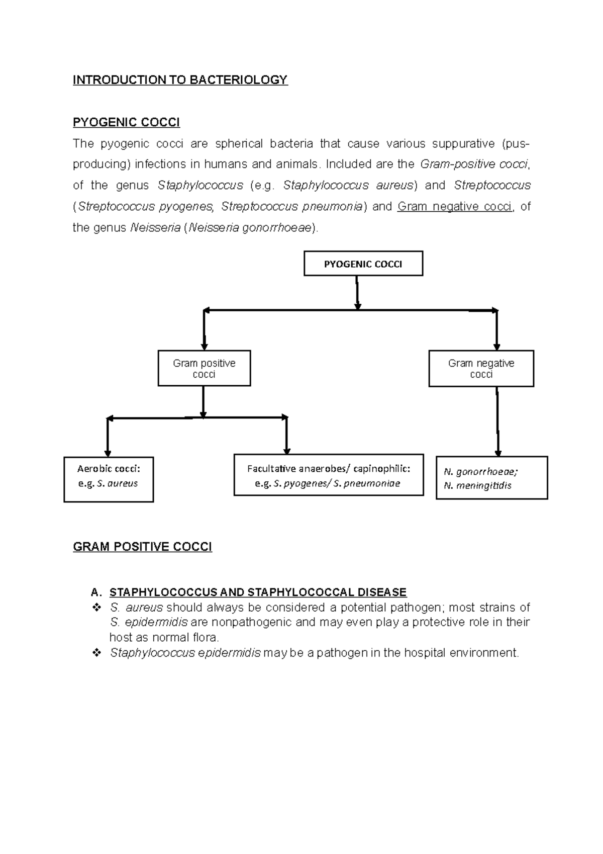 Bactecteriology, GRAM Positive Cocci - INTRODUCTION TO BACTERIOLOGY ...