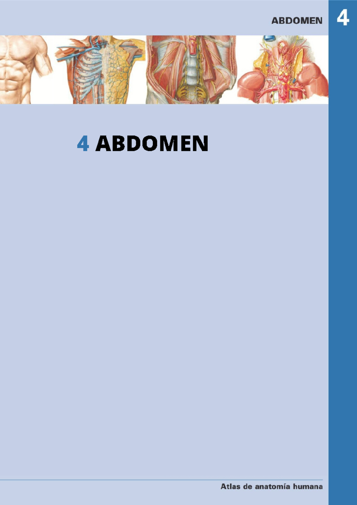 4 Abdomen - Apunte anatomía netter tablas - Anatomia - ABDOMEN 4 ...