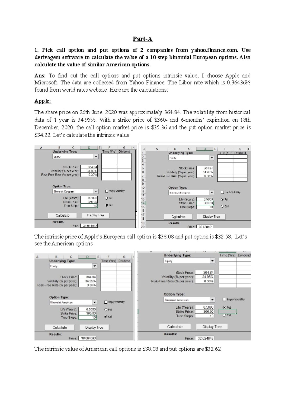 Derivatives Derivagem Software - Part-A Pick call option and put ...