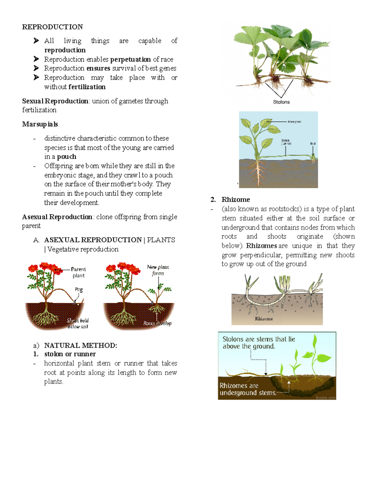L3-genbio - SHS Biology Reviewer - REPRODUCTION All living things are ...