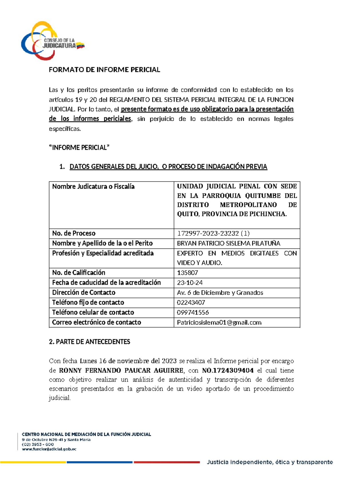 Pericias - FORMATO DE INFORME PERICIAL Las y los peritos presentarán su informe de conformidad ...