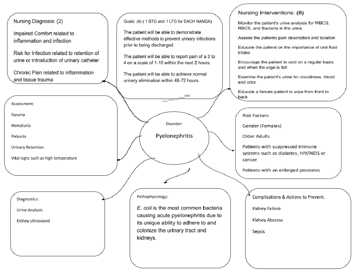 Pyelonephritis Concept Map - NSG 3250 - Studocu
