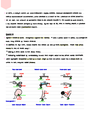 Neurological physiotherapy neuro-anatomy and pathophysiology of common ...