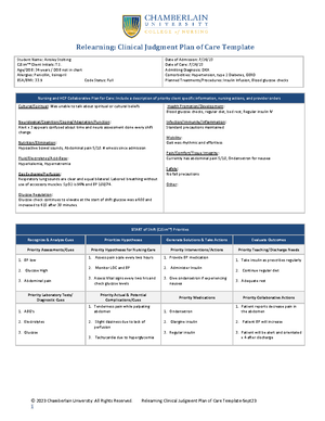 Process Recording Template Final-1 copy - NOTE: At least two pages of ...