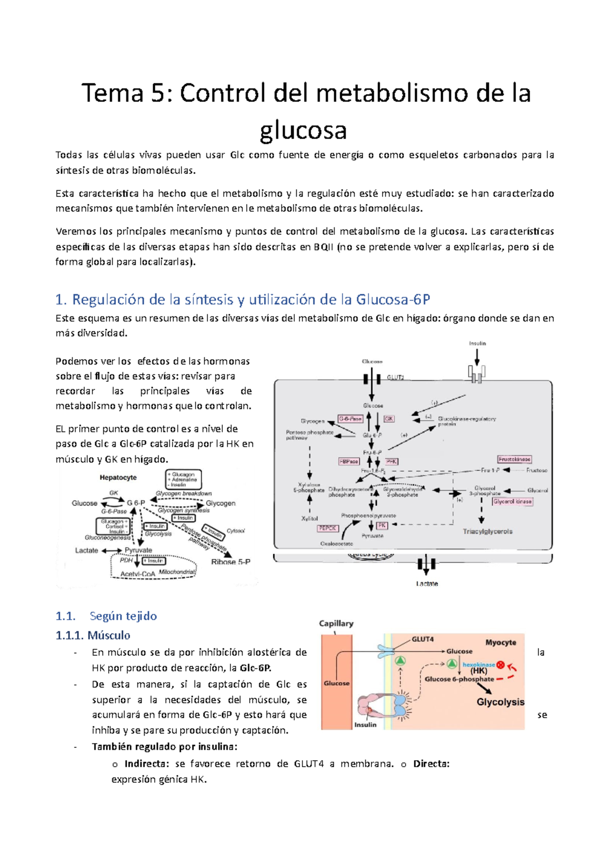 Regulació metabòlica apunts segon parcial - Tema 5: Control del ...