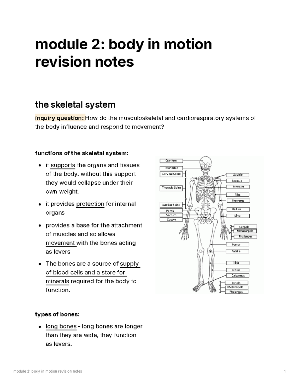 Module 2- body in motion - module 2: body in motion revision notes the ...