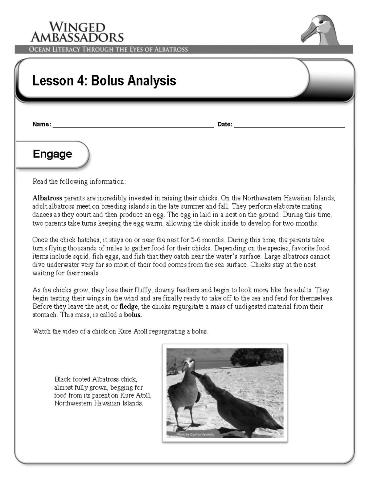 L4 Student Bolus Analysis Fillable - Name