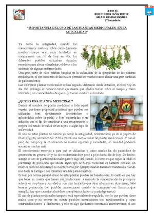 Informe Pedagógico - dfgghhh - “AÑO DE LA UNIDAD, LA PAZ Y EL ...