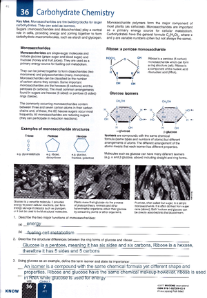 Genetic drift worksheet - Genetic Drift Key ldea: Genelic drift is the ...