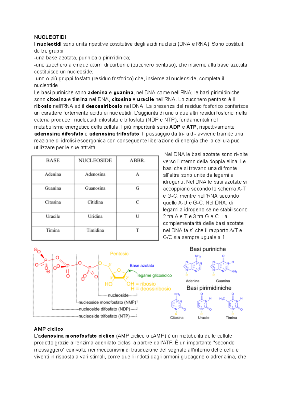 nucleotidi riassunto citologia - NUCLEOTIDI I nucleotidi sono unità ripetitive costitutive degli ...