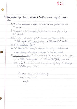 Types-of-Racism - In-depth notes of the types of racism ...