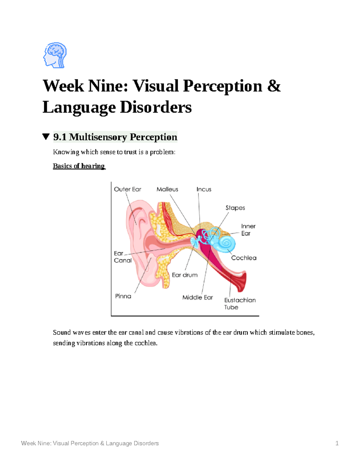 Visual Perception Language Disorders - PSYU9A4 - Stirling - Studocu