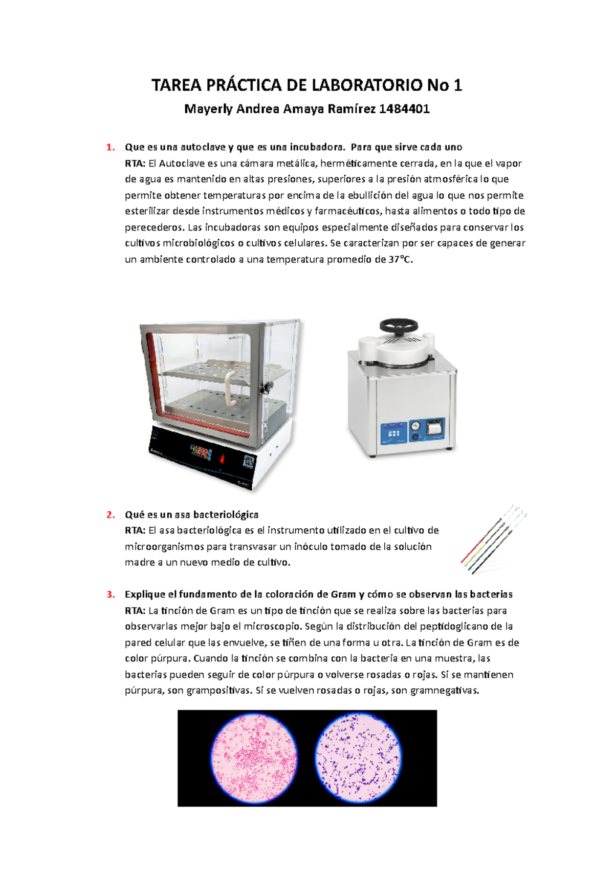 Tarea Práctica DE Laboratorio No 1 - TAREA PRÁCTICA DE LABORATORIO No 1 ...
