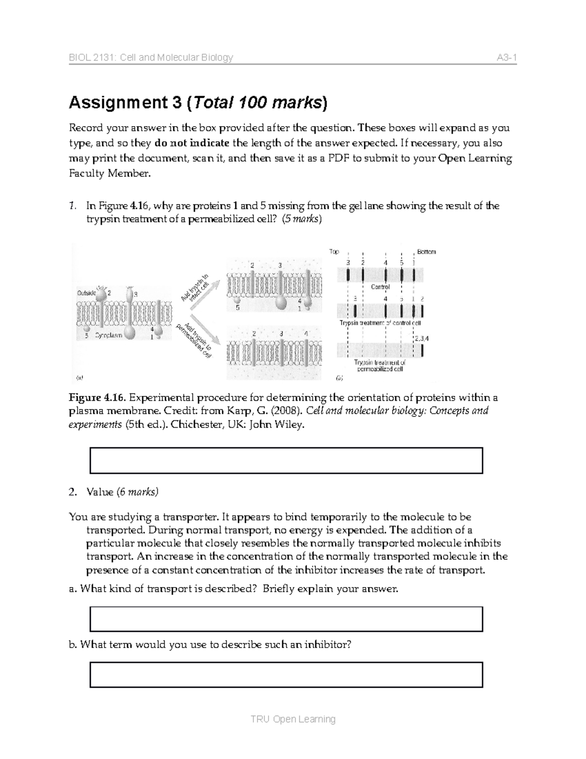 BIOL 2131 Assign 3-2 - BIOL 2131: Cell and Molecular Biology A3 ...