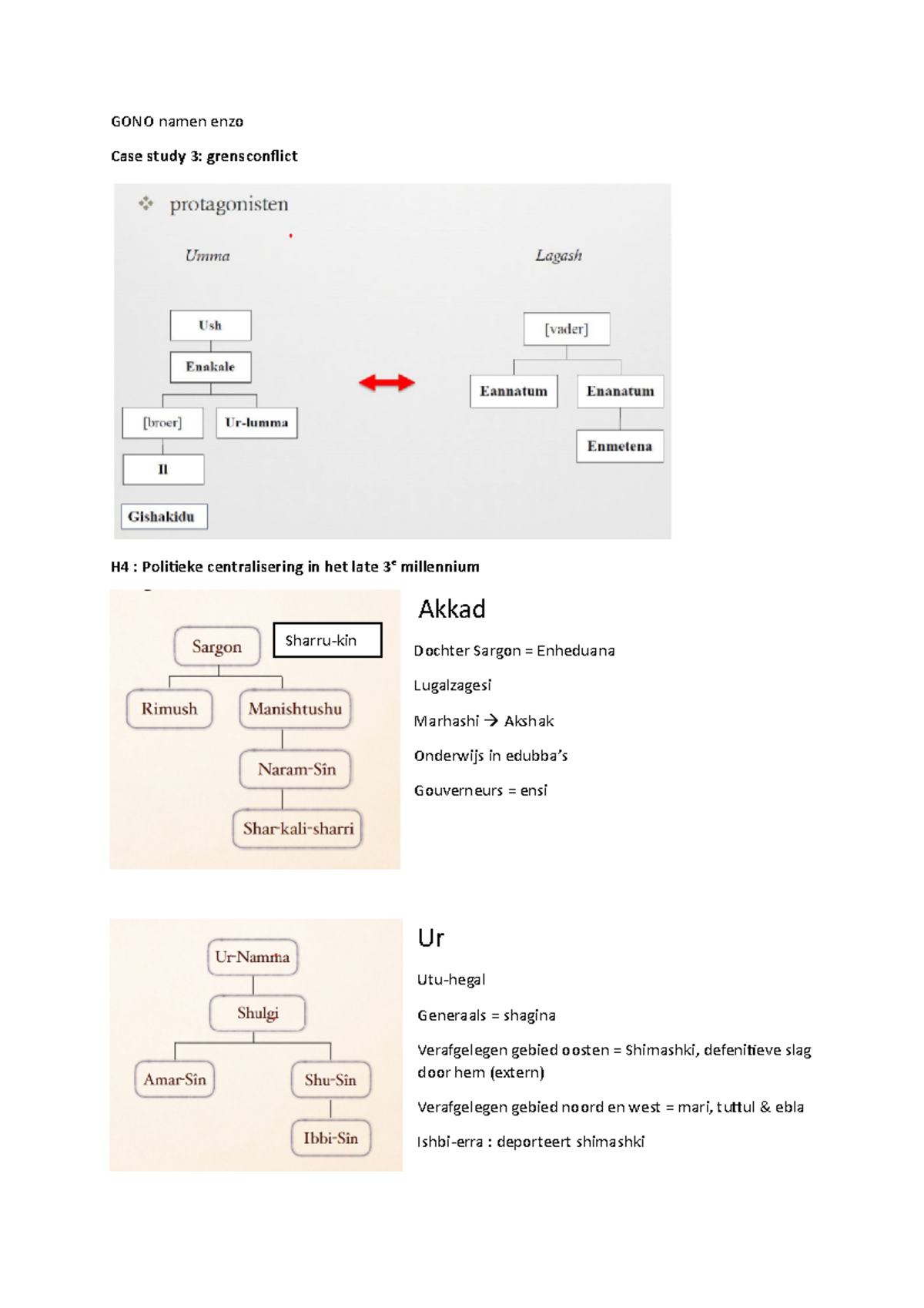 Gono namen - College-aantekeningen 3-10 - GONO namen enzo Case study 3 ...