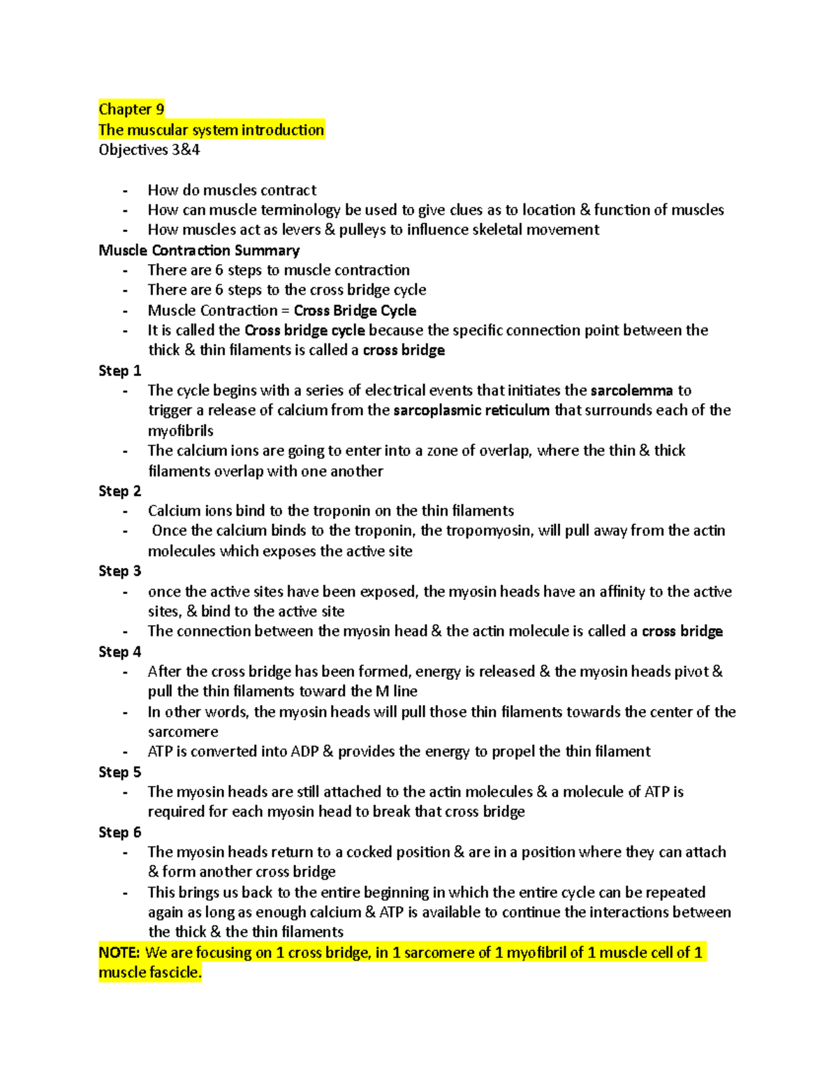 Chapter 9 obj 3&4 - Dr Brinn - Chapter 9 The muscular system ...
