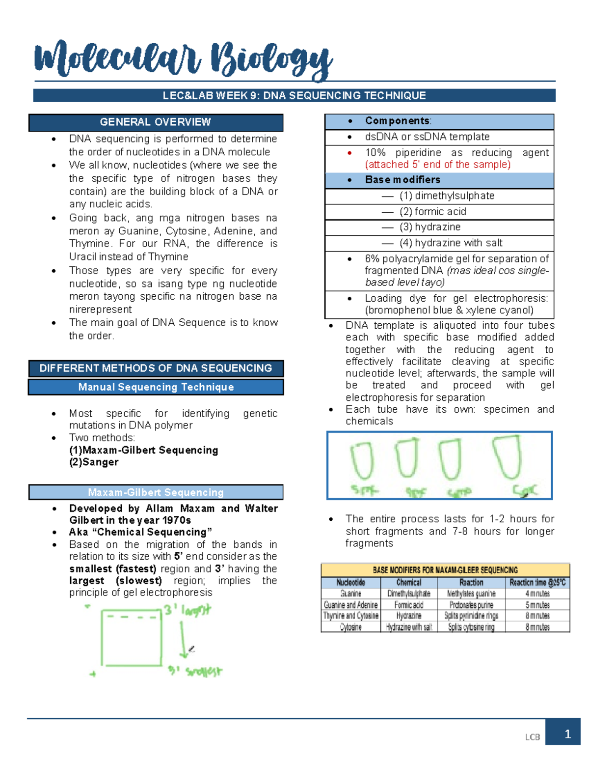 MODX-LEC WK9-10 - modx lecture molecular diagnostics - Molecular ...