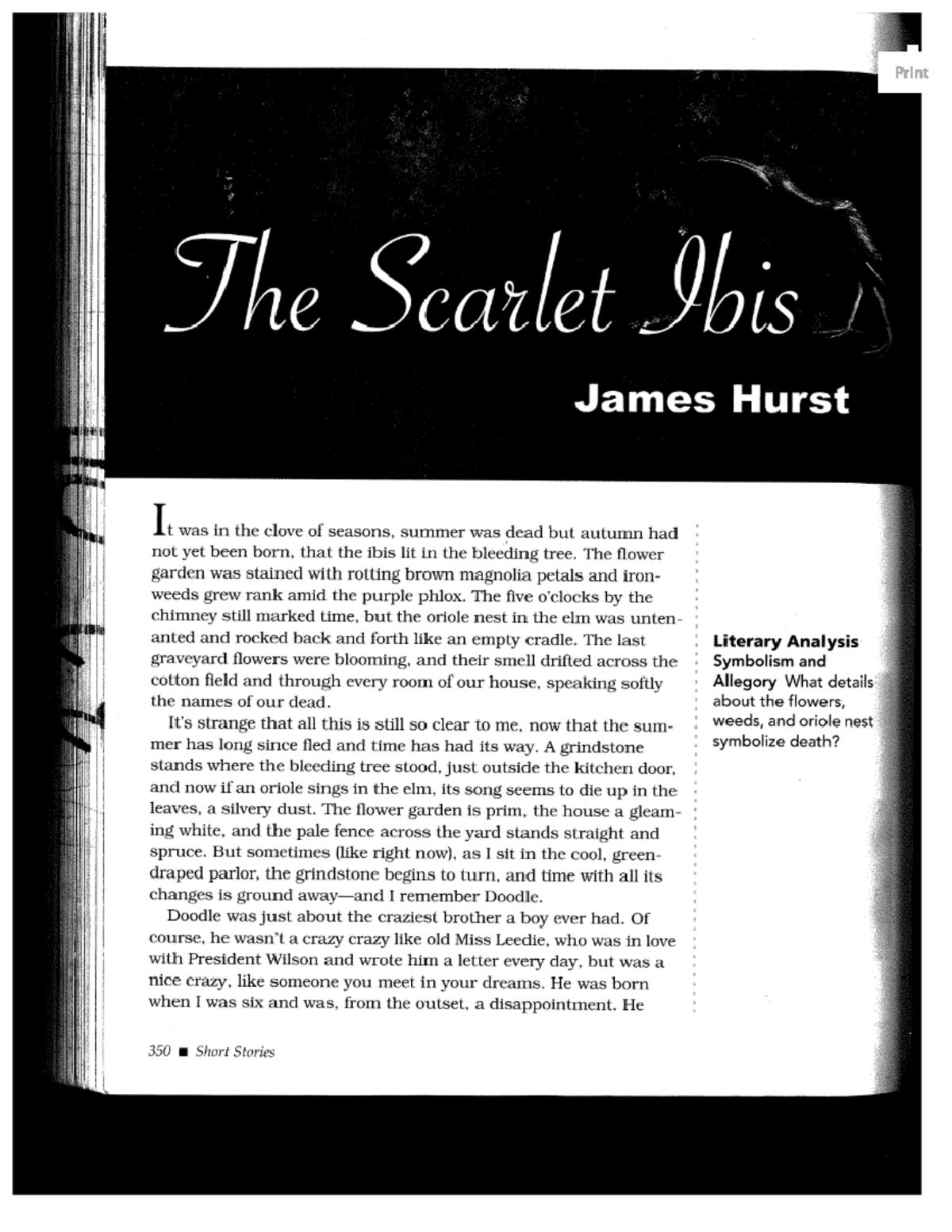 The Scarlet Ibis.pdf Schoology - Social Phycology - Studocu