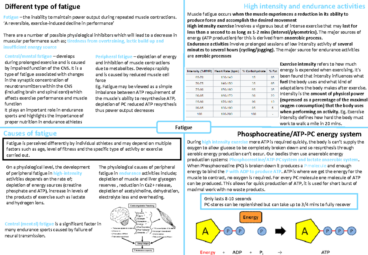 Sports Medicine Fatigue Summary Notes - Fatigue Different type of ...