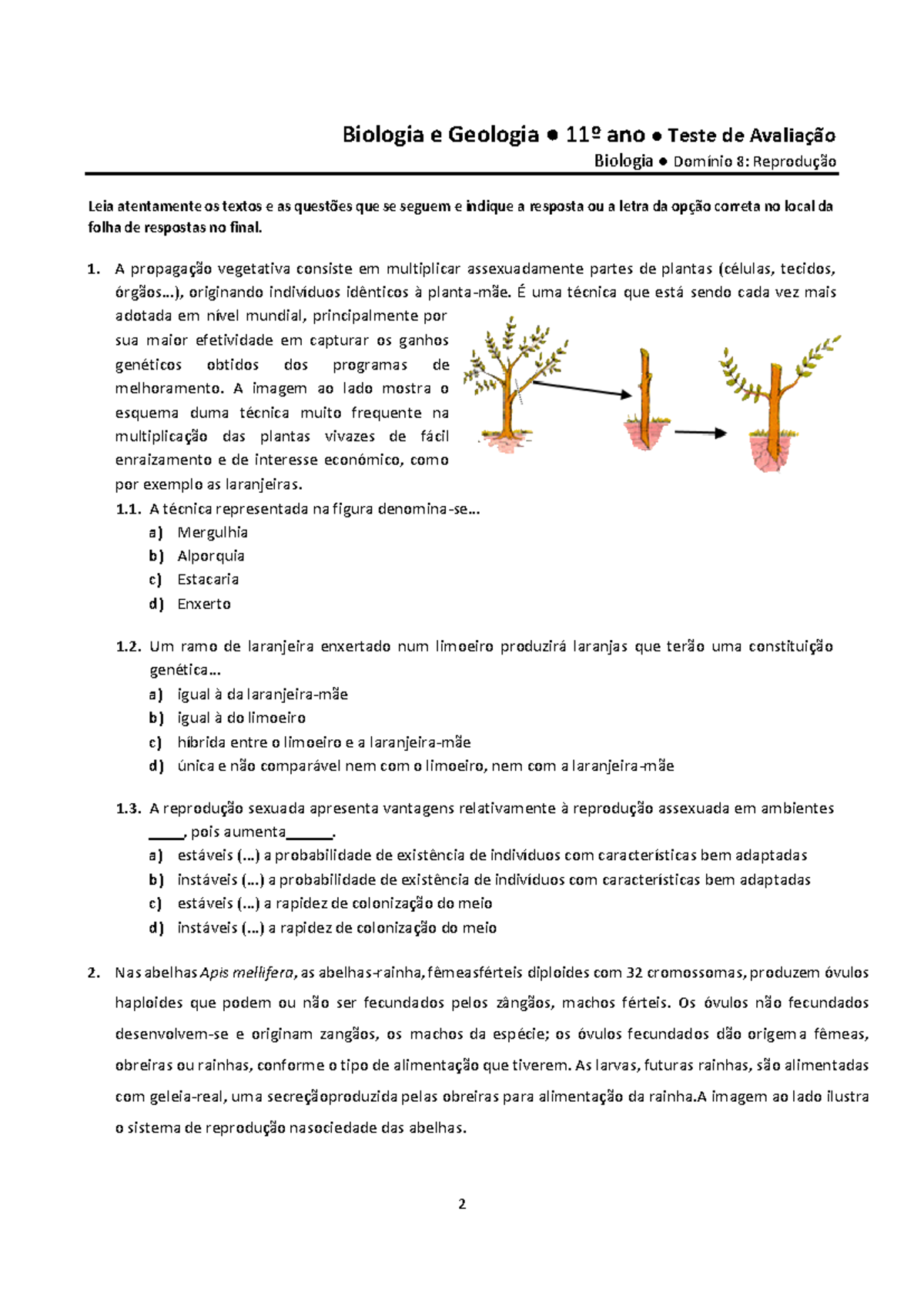 Teste 11º Reprodução - Biologia e Geologia 11º ano Teste de Avaliação ...