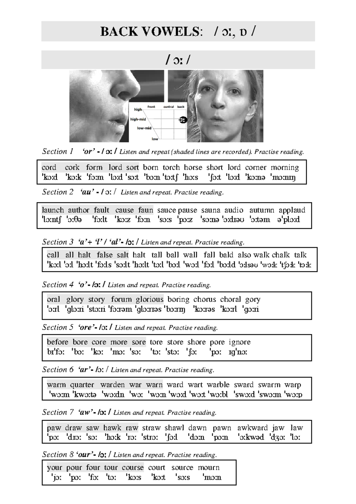 Handout 5 Back vowels; high-back and central vowels - BACK VOWELS ...
