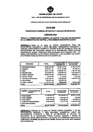 La esencia de la Contabilidad Pública - contabilidad publica - UNJU ...