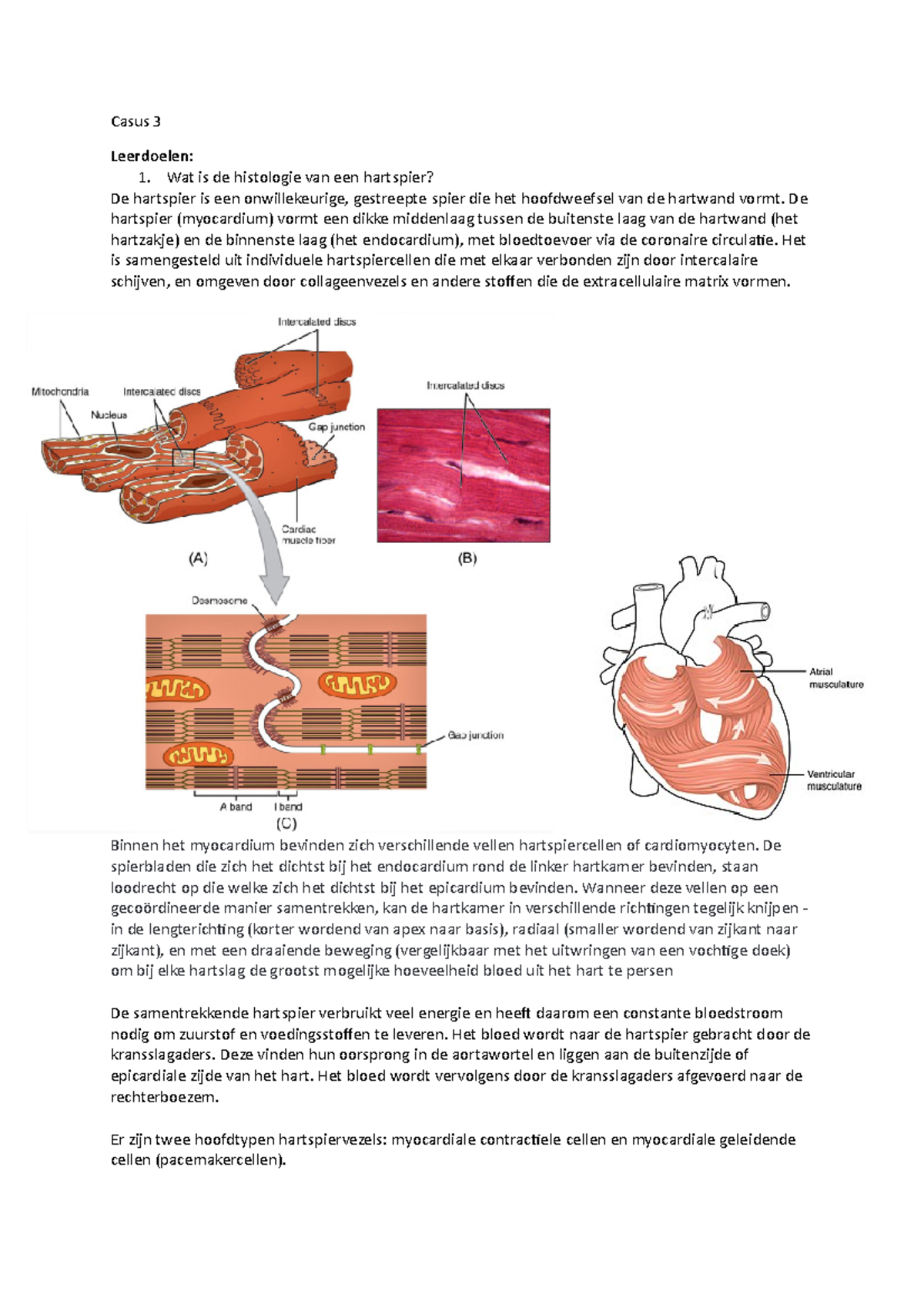 Casus 3 GEN 1102 - Casus 3 Leerdoelen: 1. Wat is de histologie van een ...
