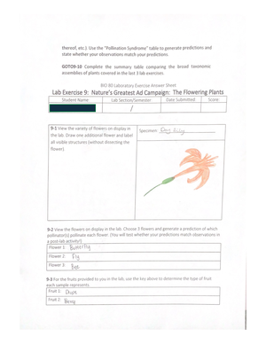 2 Organic Molecules DD - Notes - Organic Molecules: Table of Contents ...