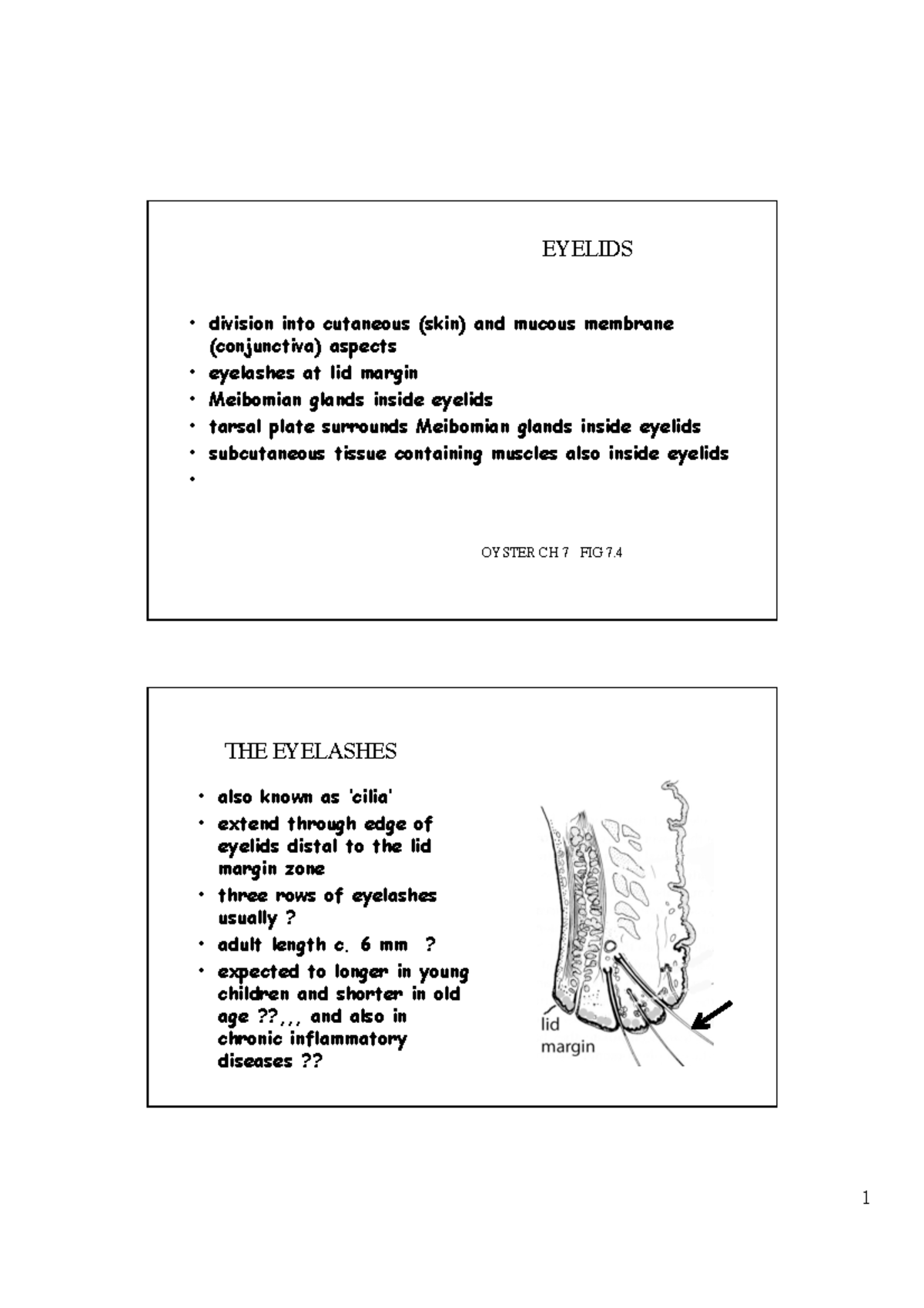 Ophthalmic Anatomy and Physiology A - Eyelids and lashes lecture notes ...