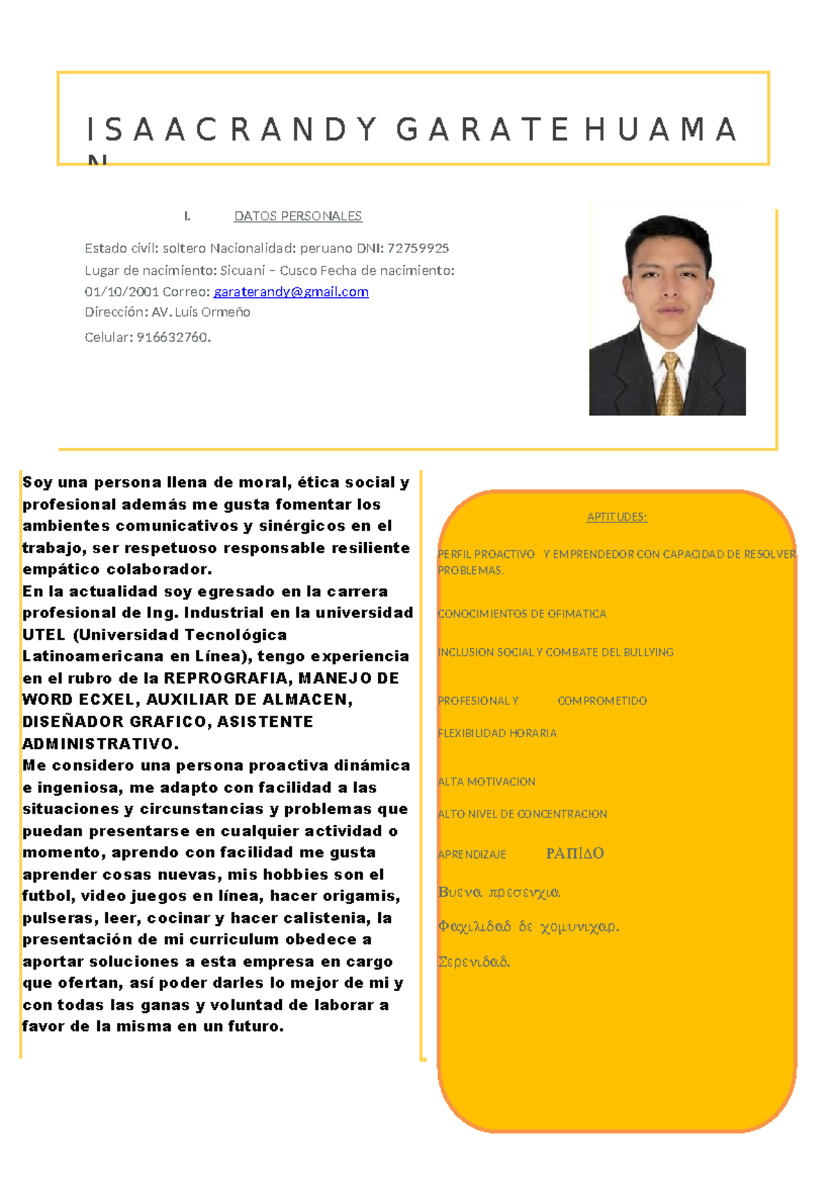 Curriculum Isaac Garate - Soy una persona llena de moral, ética social ...