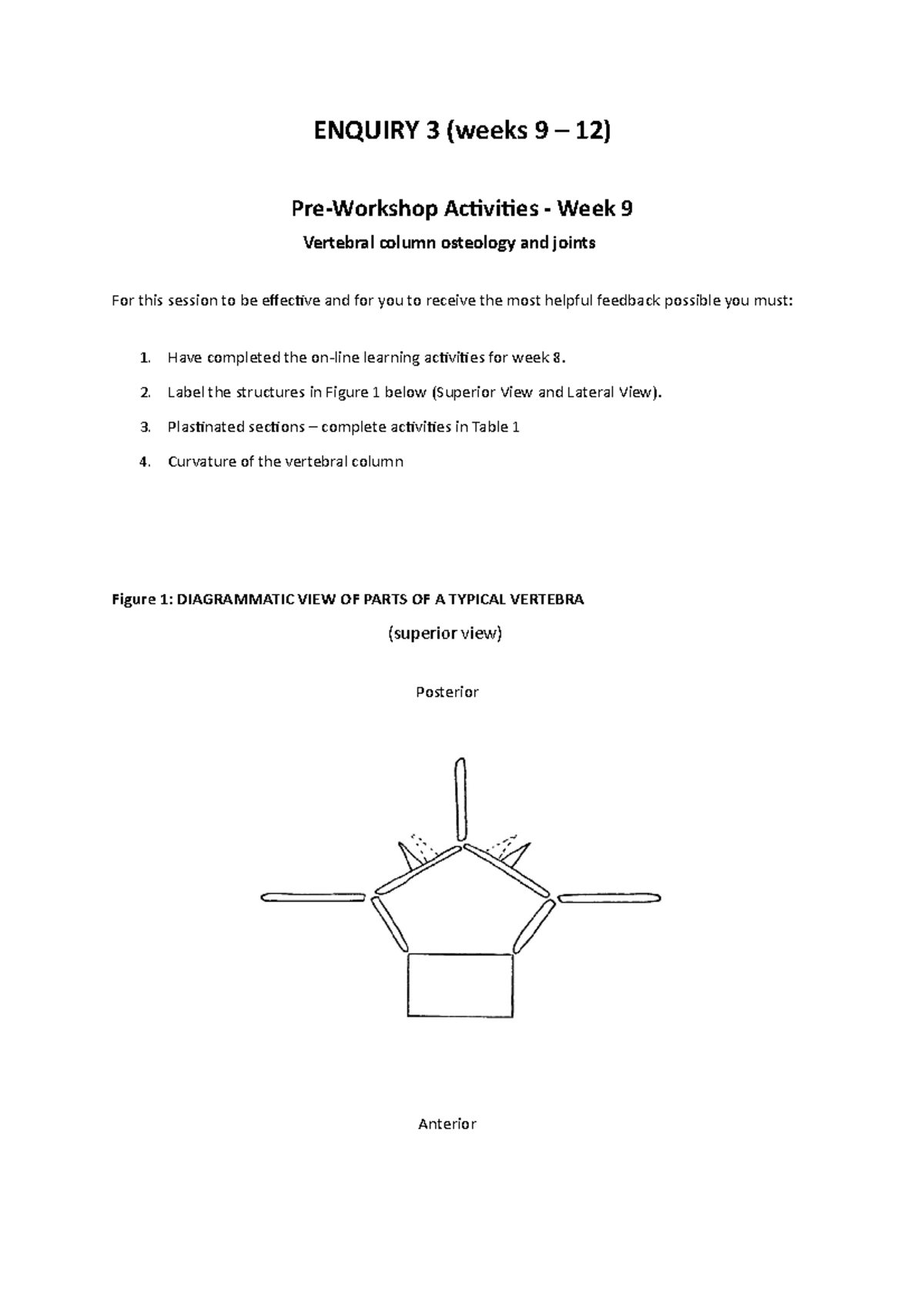 HBS1HBB Pre-Workshop Activities 9 2020 - ENQUIRY 3 (weeks 9 – 12) Pre ...