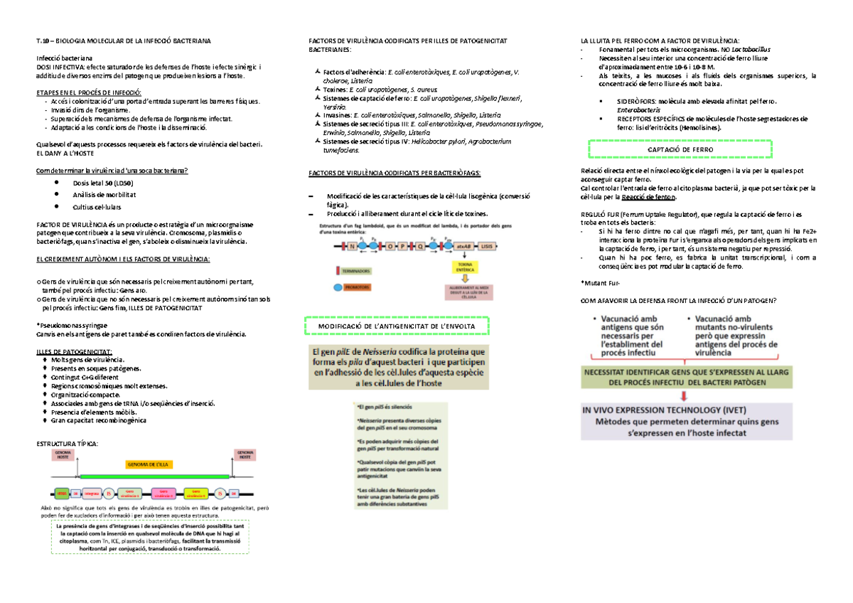 T.10 – Biologia Molecular DE LA Infecció Bacteriana - Warning: TT: undefined function: 32 ...