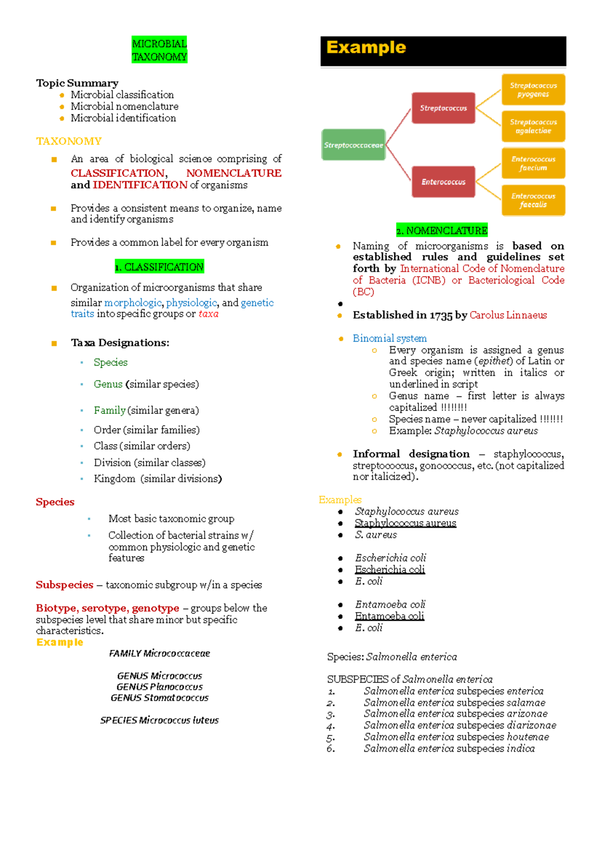Microbial Taxonomy - Summary Clinical Bacteriology - MICROBIAL TAXONOMY ...