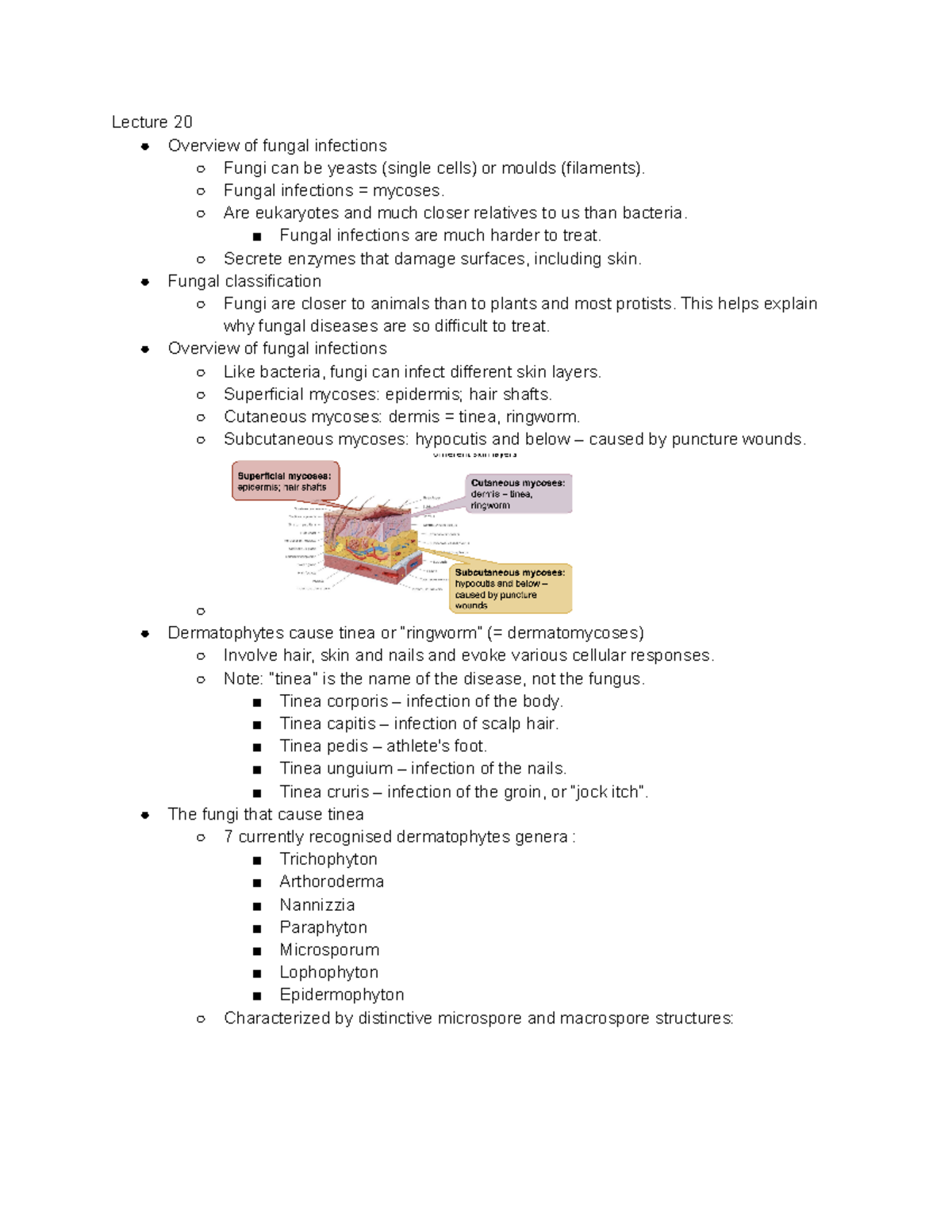 Lecture 20 - Lecture 20 Overview of fungal infections Fungi can be ...