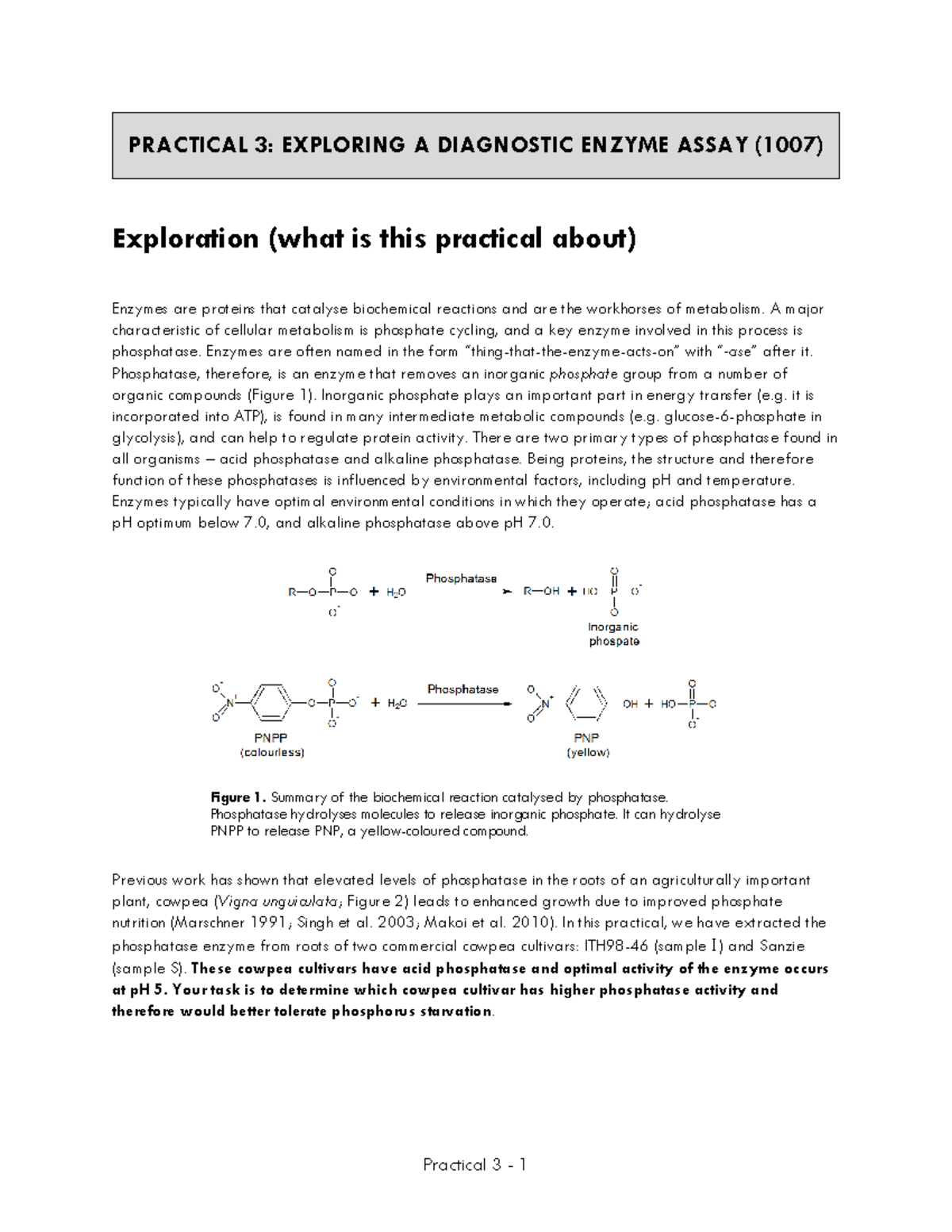 [Final] BIOL1007 Practical 3 Manual - PRACTICAL 3: EXPLORING A ...