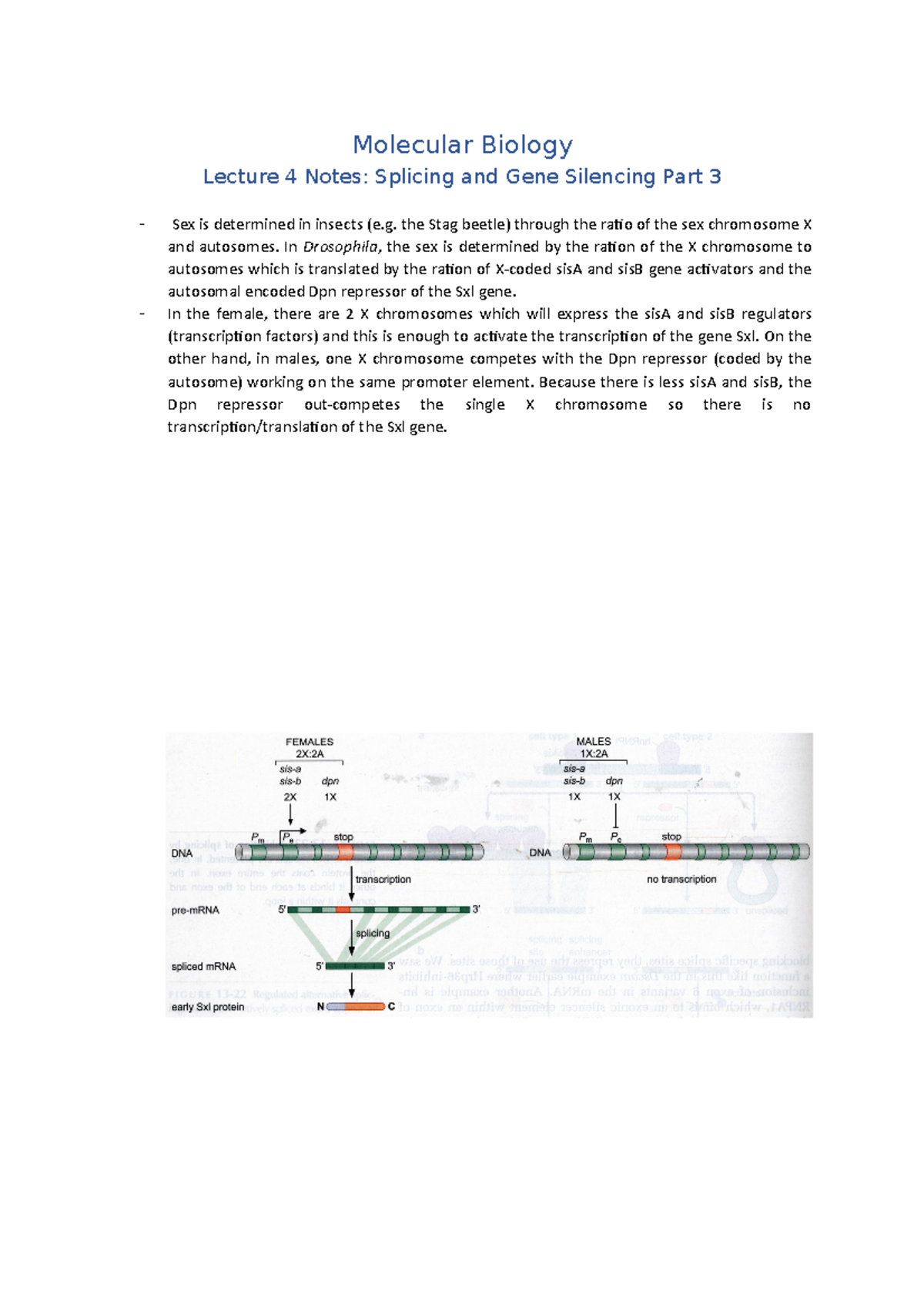 Lecture 4 Notes (Splicing and Gene Silencing Part 3) - Molecular ...