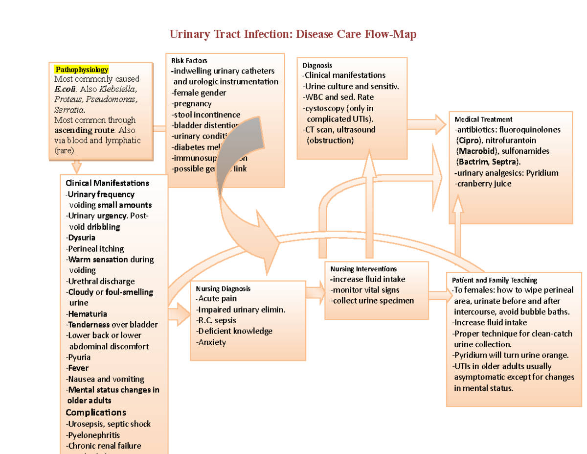 Infection UTI Disease Care flow map - Diagnosis Clinical manifestations ...